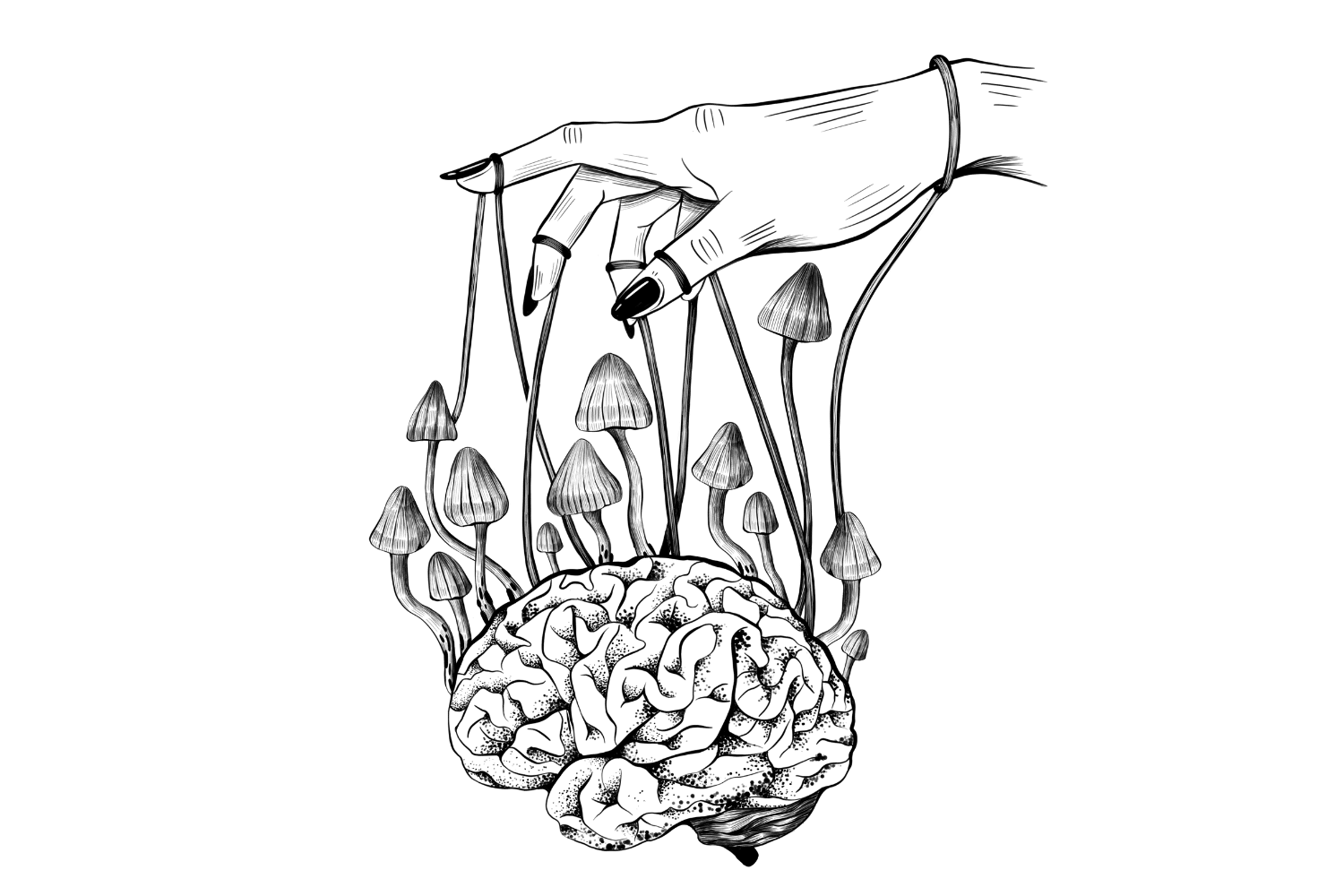 Breaking the Mold: Psilocybin As A Possible ADHD Treatment - Tripsitter