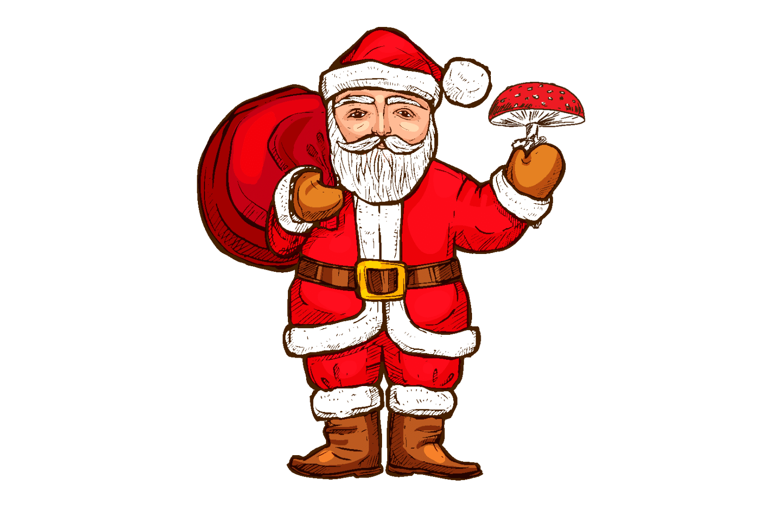Mushroom Santa: The Strange Correlations Between Christmas Tradition ...