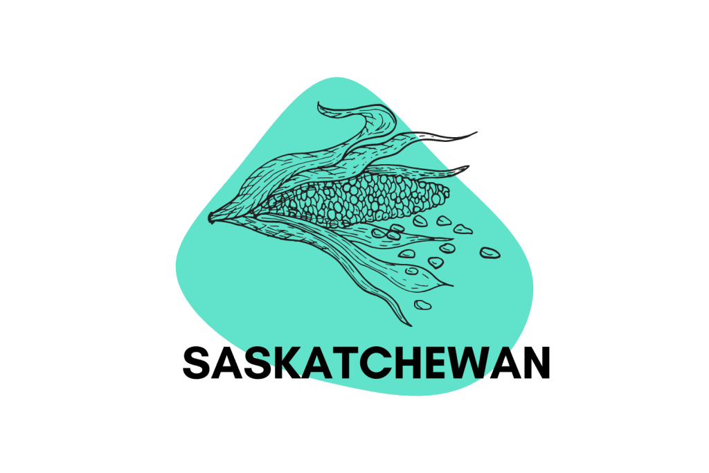 Complete Guide to Psychedelic Drug Laws in Saskatchewan - Tripsitter