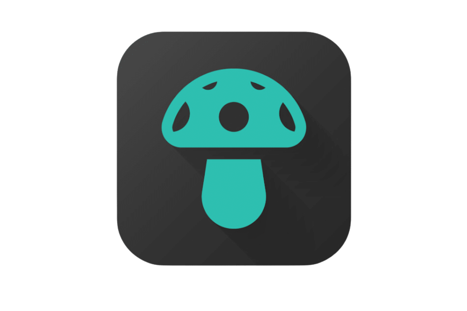 Fungi at Your Fingertips: Exploring the Best Mushroom Identification Apps - Tripsitter