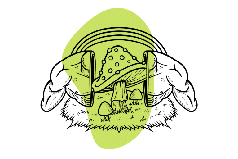 What Shrooms Are the Strongest? Top Strains & Species Ordered By ...