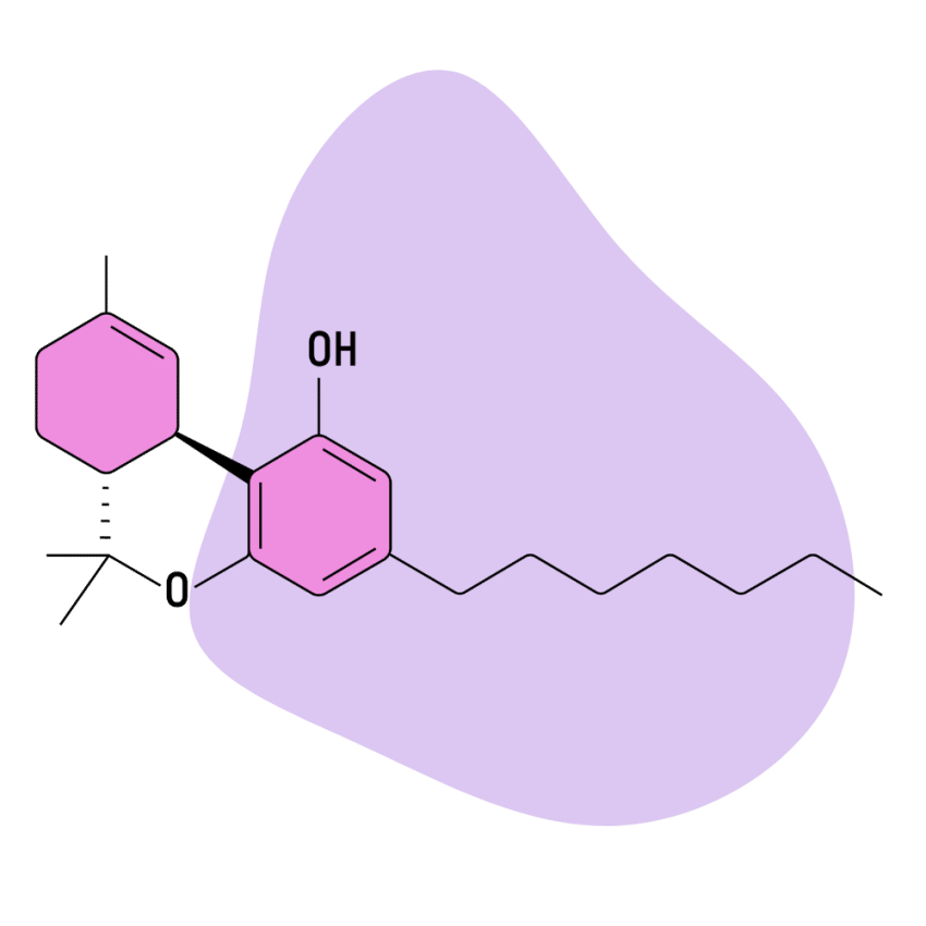 The Expert Guide to Δ9 THC Gummies (Where to Buy in 2024) - Tripsitter