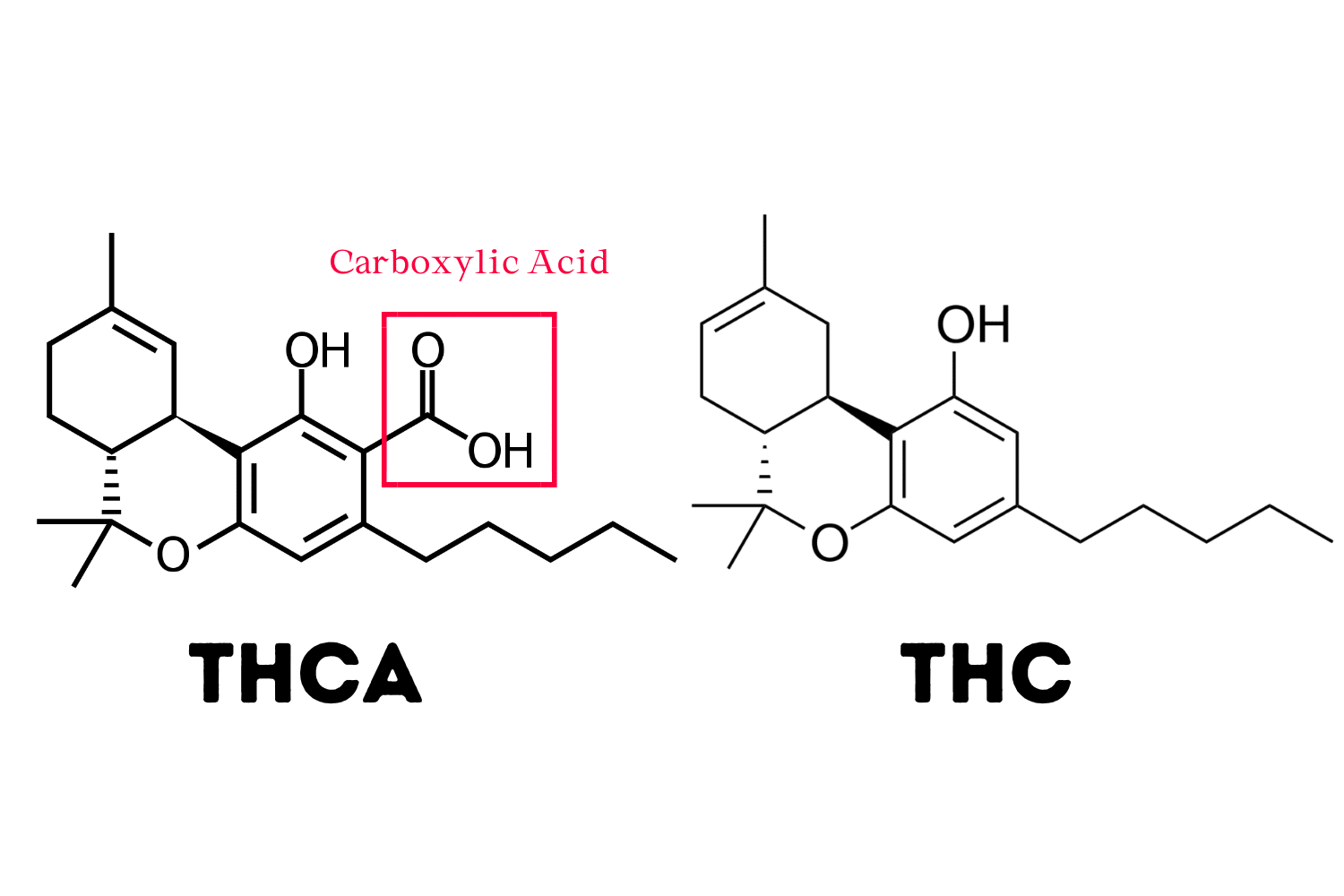 THCA (THC-Acid): Legal Loopholes & the Science of THCA - Tripsitter