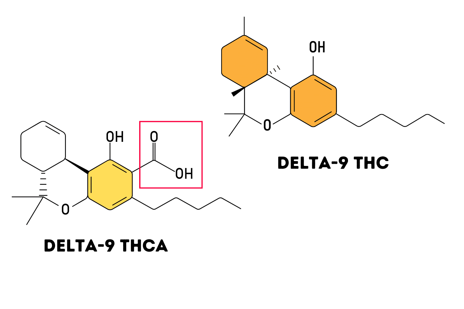 THCA vs THC: Key Differences & Similarities Explained - Tripsitter