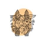 LSA (Lysergic Acid Amide): Naturally-Occurring Acid With Sedative ...