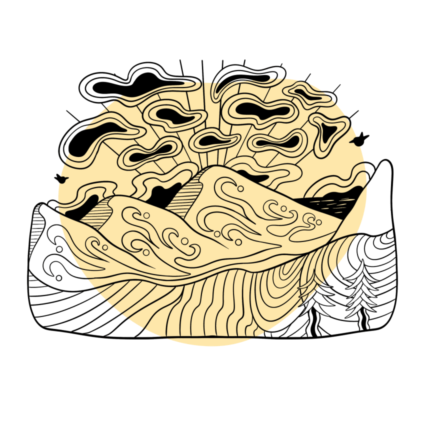 The B+ Strain (Magic Mushrooms) - Tripsitter