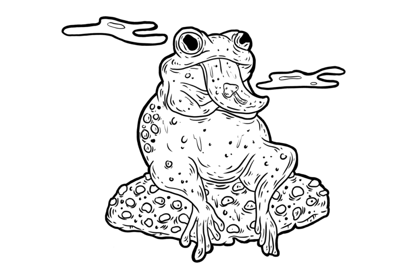 Psychoactive Toad Venom (Bufo Alvarius) - Tripsitter