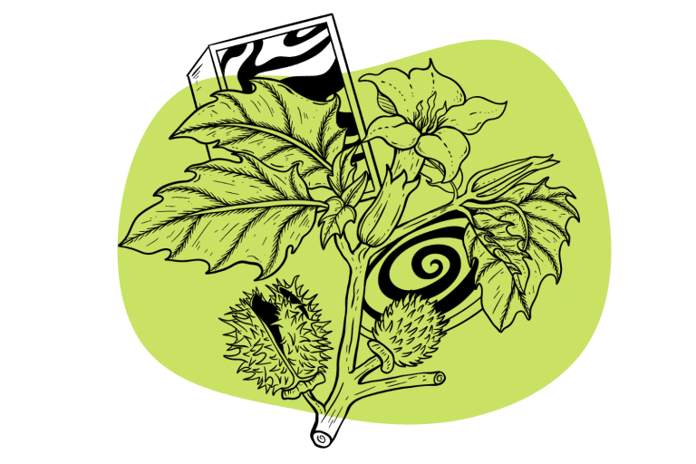 Deliriants - Tripsitter