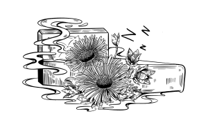 Kanna: Exploring One of Nature’s Best Antidepressants - Tripsitter