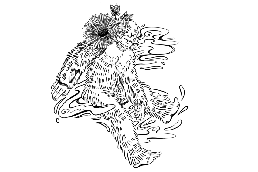 Kanna: Exploring One of Nature’s Best Antidepressants - Tripsitter