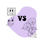 LSD (Acid): Ultimate Guide To the World’s Most Famous Psychedelic ...