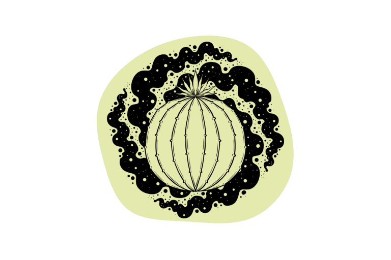 From Cacti to Capsules: How to Safely Microdose Mescaline - Tripsitter