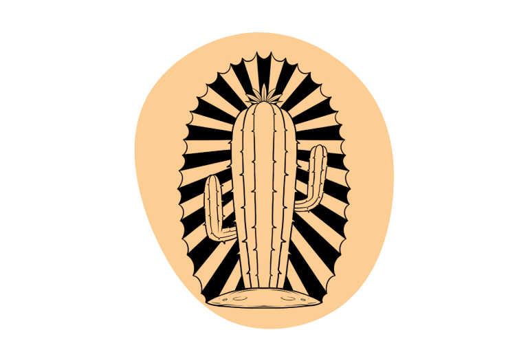 From Cacti to Capsules: How to Safely Microdose Mescaline - Tripsitter