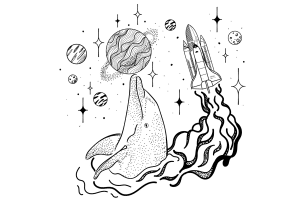 NASA Gave Dolphins LSD: Here’s What Happened - Tripsitter