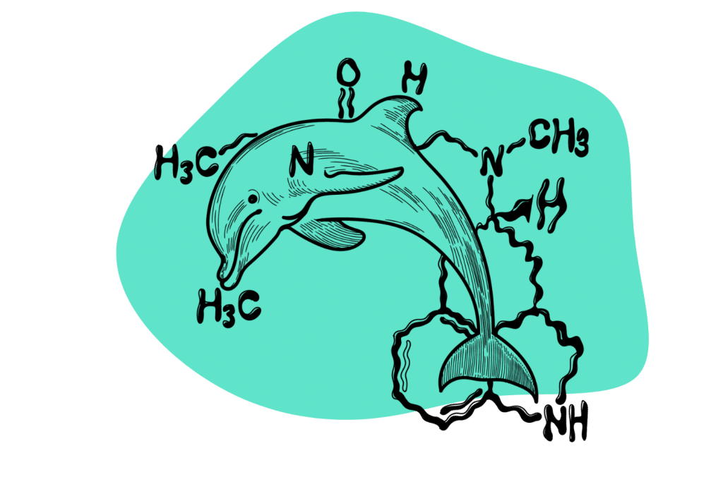 NASA Gave Dolphins LSD: Here’s What Happened - Tripsitter