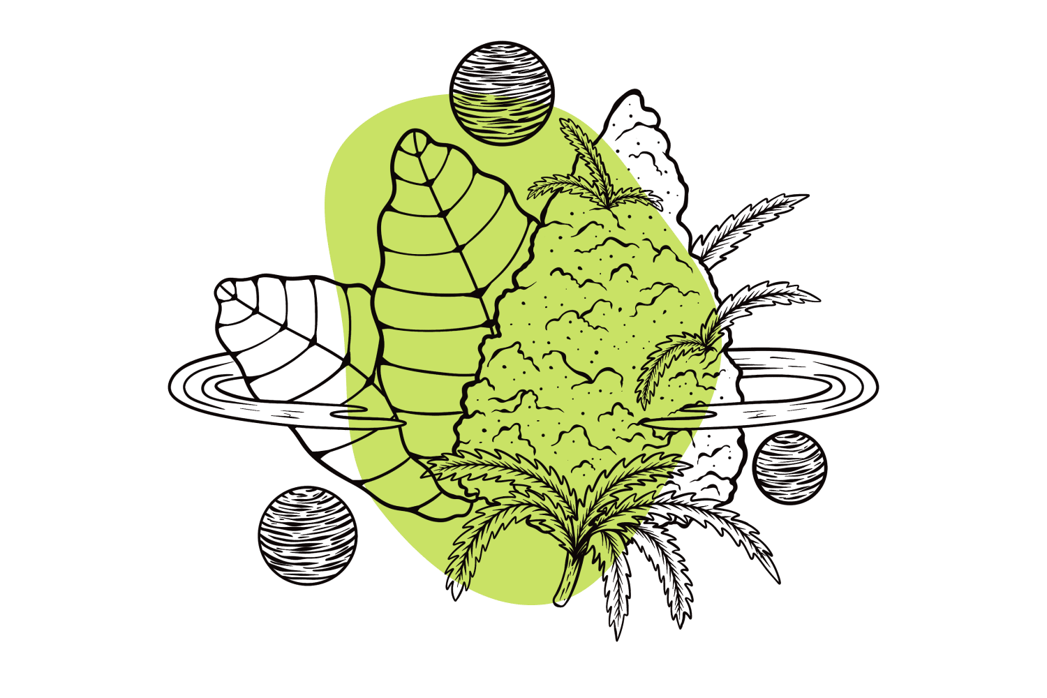 Kratom vs. Cannabis: Uses, Benefits, & Interactions - Tripsitter