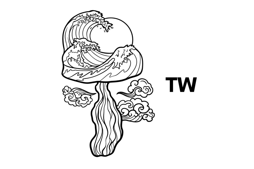 What Shrooms Are the Strongest? Top Strains & Species Ordered By ...