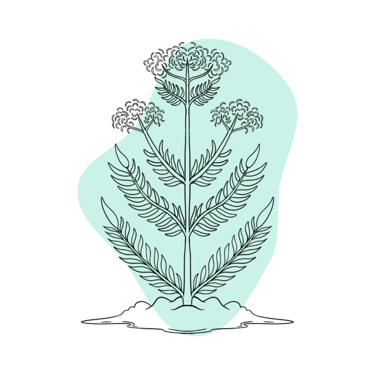 Gidazepam: The Next Generation of Antidepressants? - Tripsitter