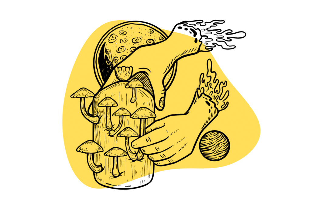 The B+ Strain (Magic Mushrooms) - Tripsitter