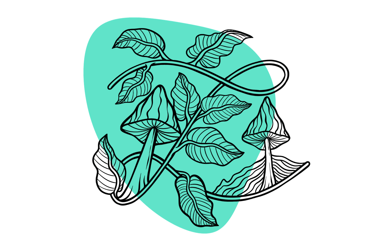 Z-Strain Magic Mushrooms: Potency, Effects, & Growing Tips - Tripsitter