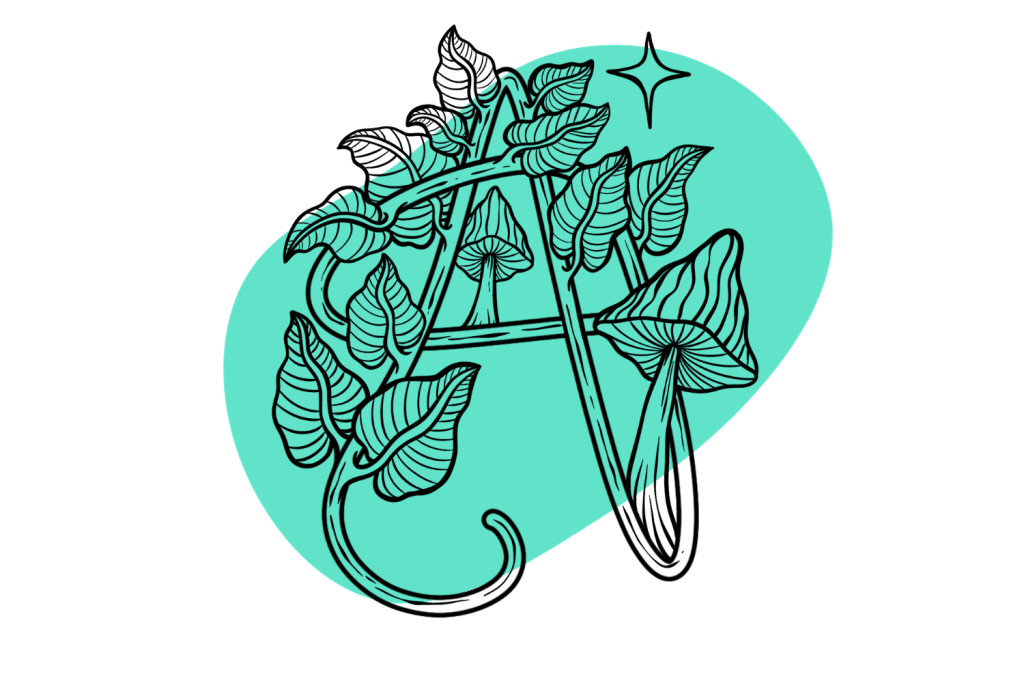 The B+ Strain (Magic Mushrooms) - Tripsitter