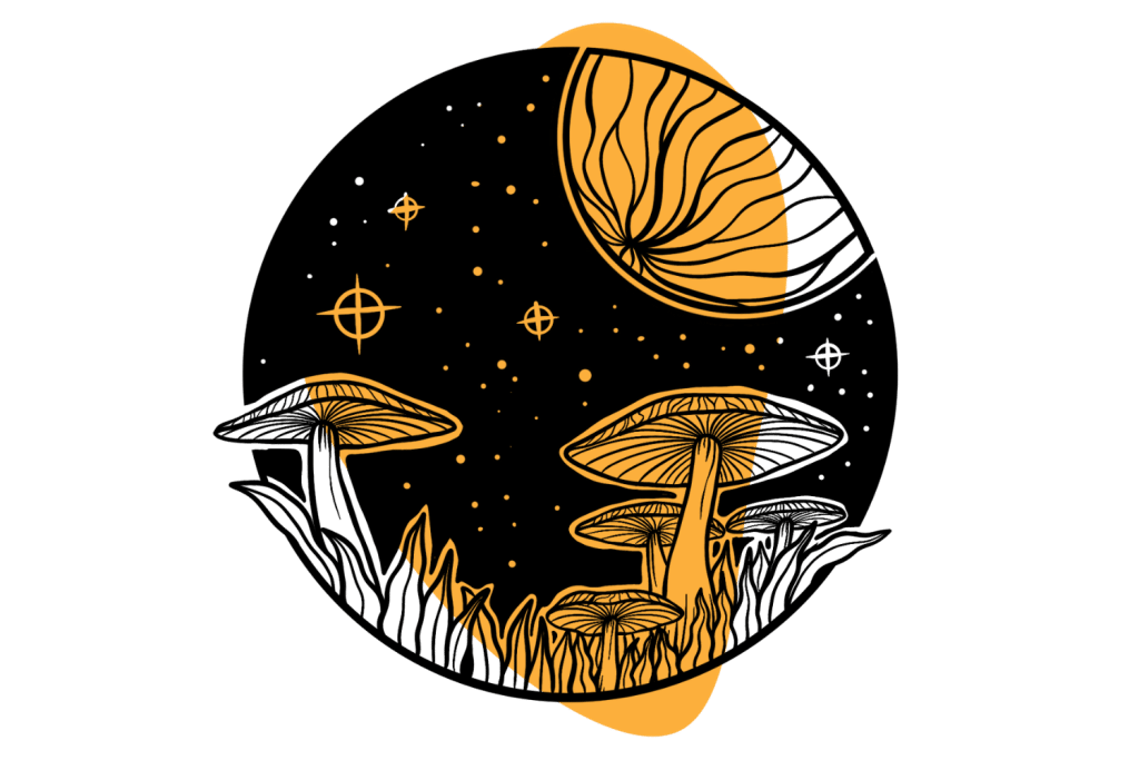 Z-Strain Magic Mushrooms: Potency, Effects, & Growing Tips - Tripsitter