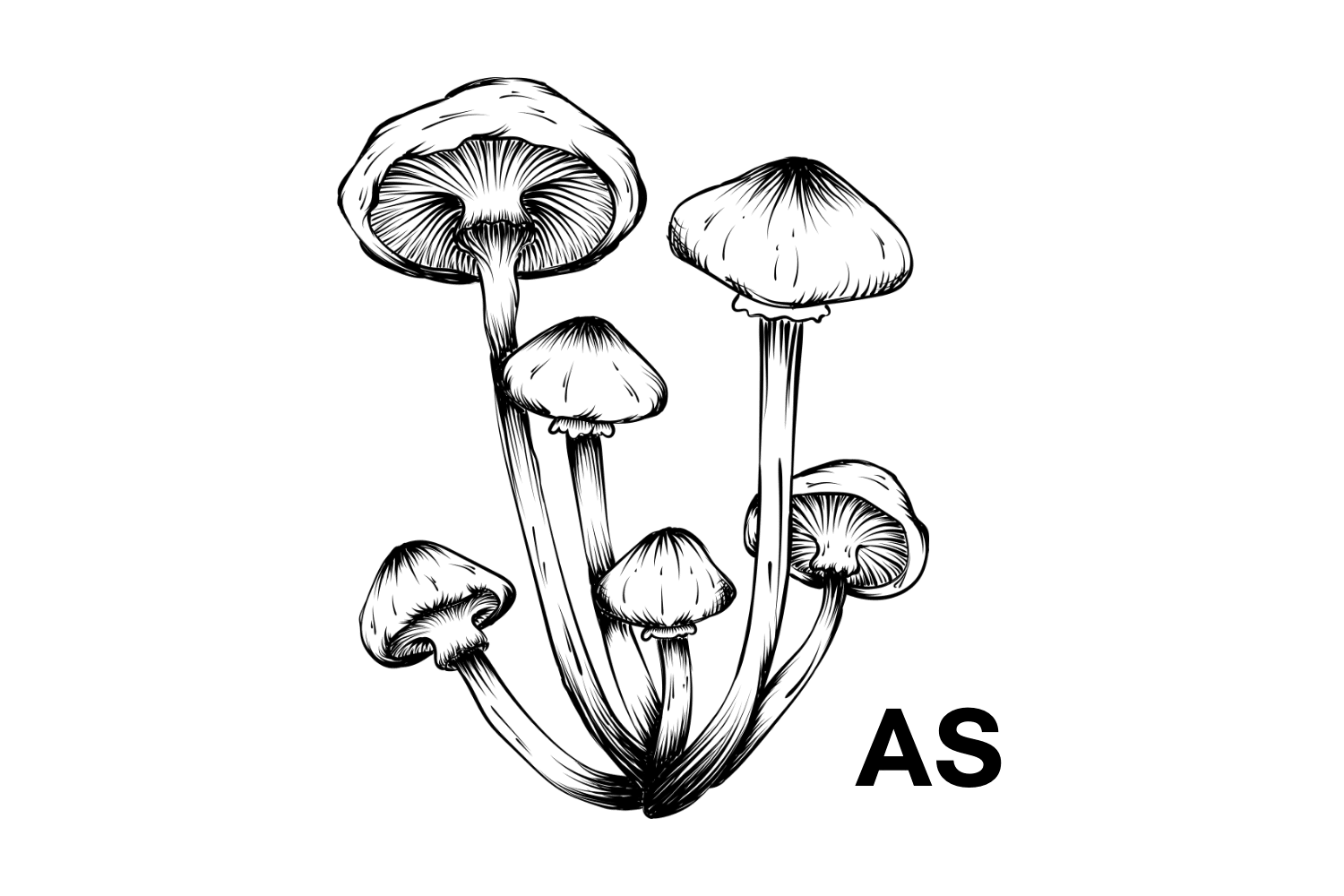 Cambodian Shroom Strain: Everything You Need to Know About This Easy ...