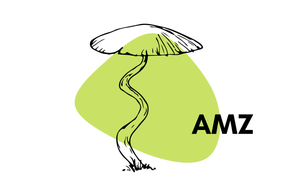 Giant Jungle Shrooms: Exploring The Amazon Mushroom Strain - Tripsitter