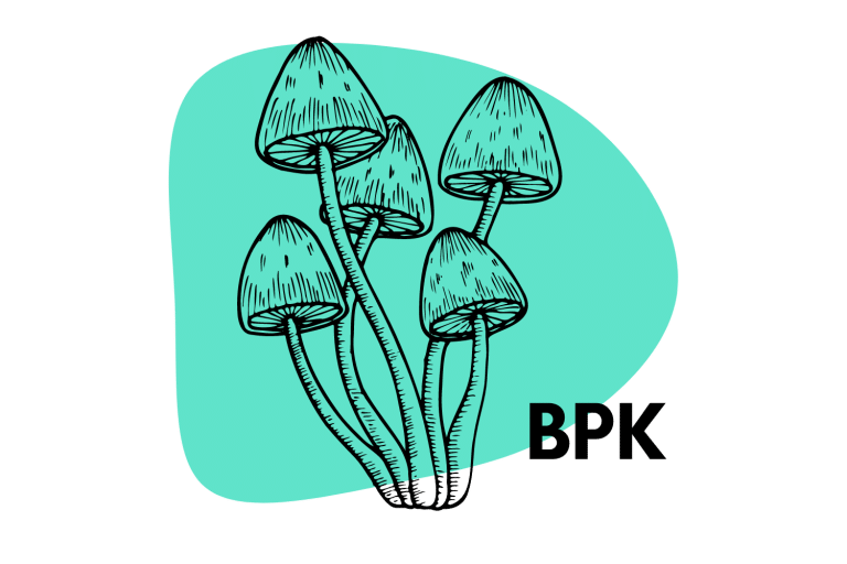 Z-Strain Magic Mushrooms: Potency, Effects, & Growing Tips - Tripsitter