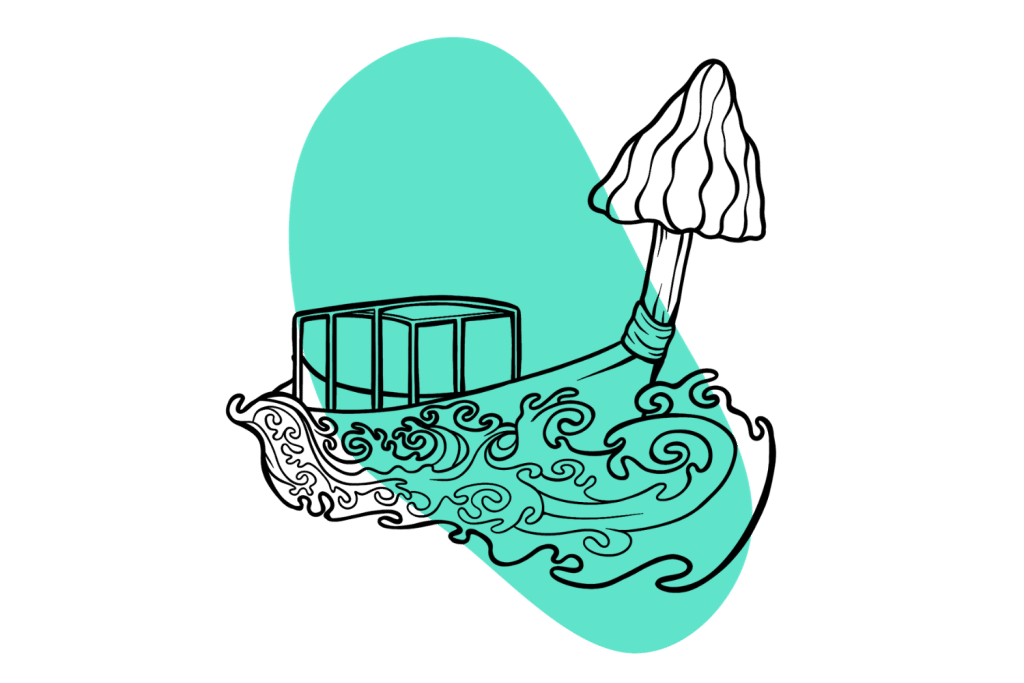 Z-Strain Magic Mushrooms: Potency, Effects, & Growing Tips - Tripsitter