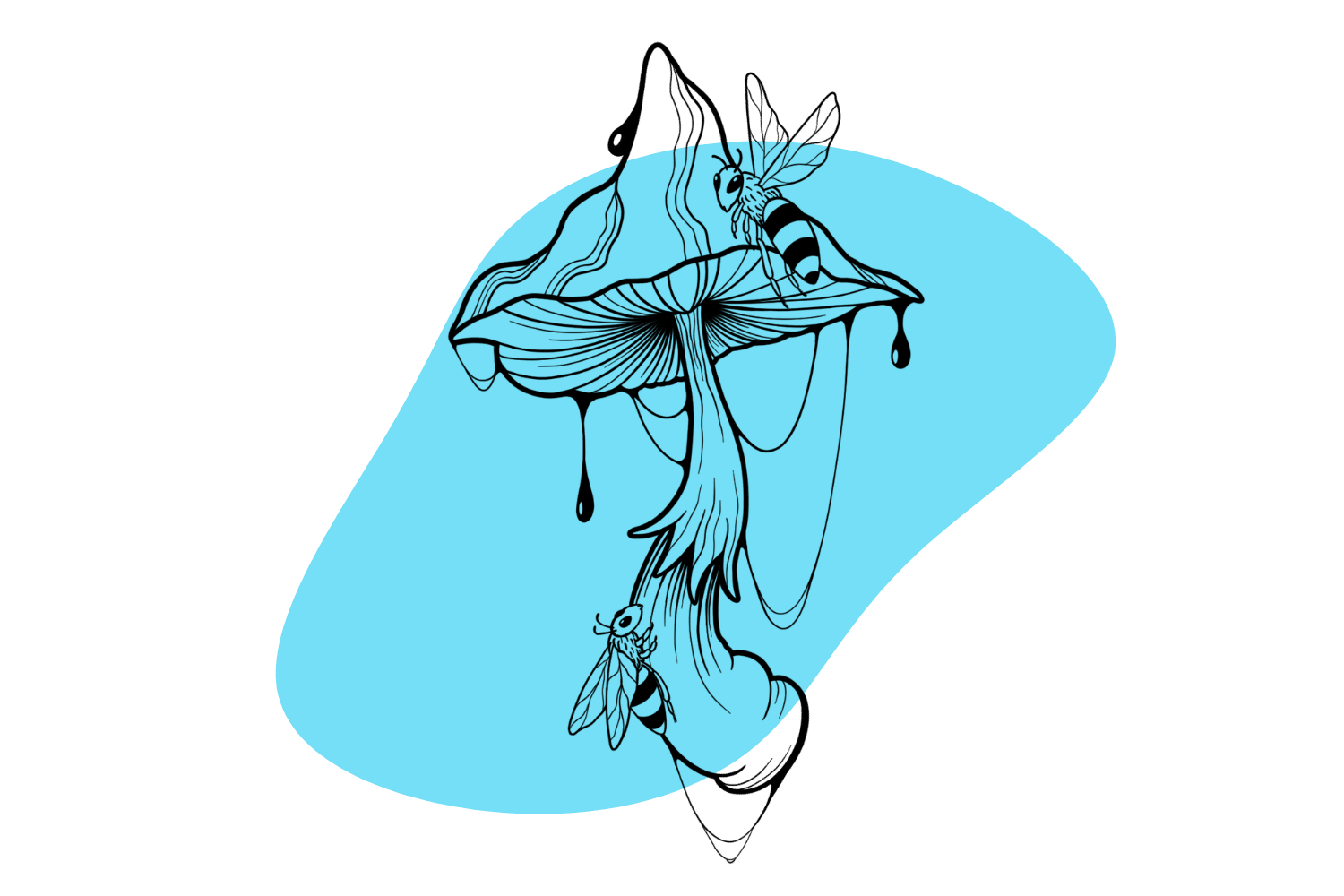 Blue Honey What It Is How To Make It And Why It s The Best Way To 