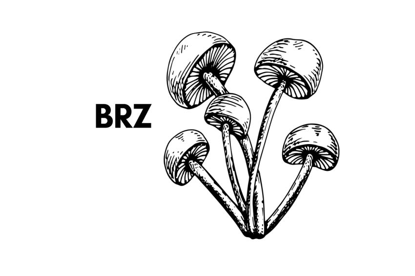 Melmac Strain Mushrooms: The Extraterrestrial Shroom Strain - Tripsitter