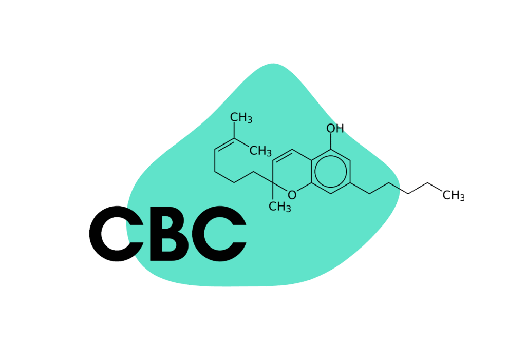 Cannabichromene (CBC): The Third Major Cannabinoid - Tripsitter