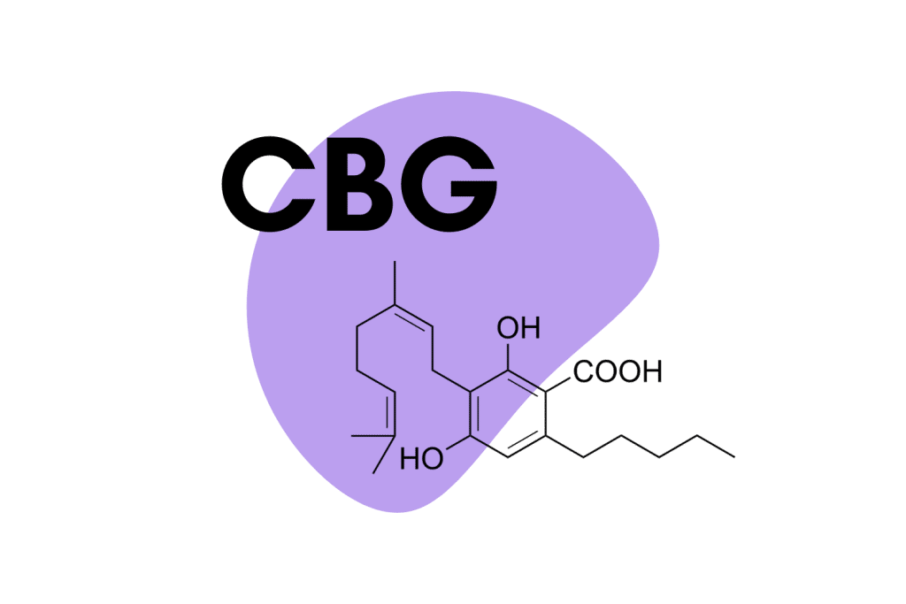 CBG Explained: The Mother of All Cannabinoids - Tripsitter