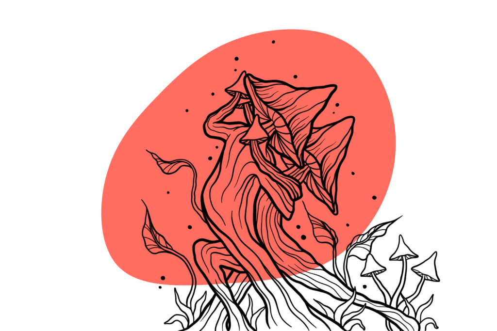 Z-Strain Magic Mushrooms: Potency, Effects, & Growing Tips - Tripsitter