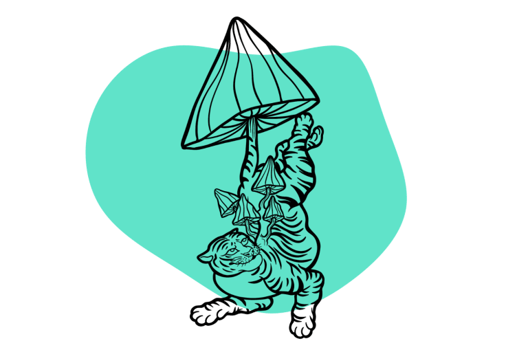 Z-Strain Magic Mushrooms: Potency, Effects, & Growing Tips - Tripsitter