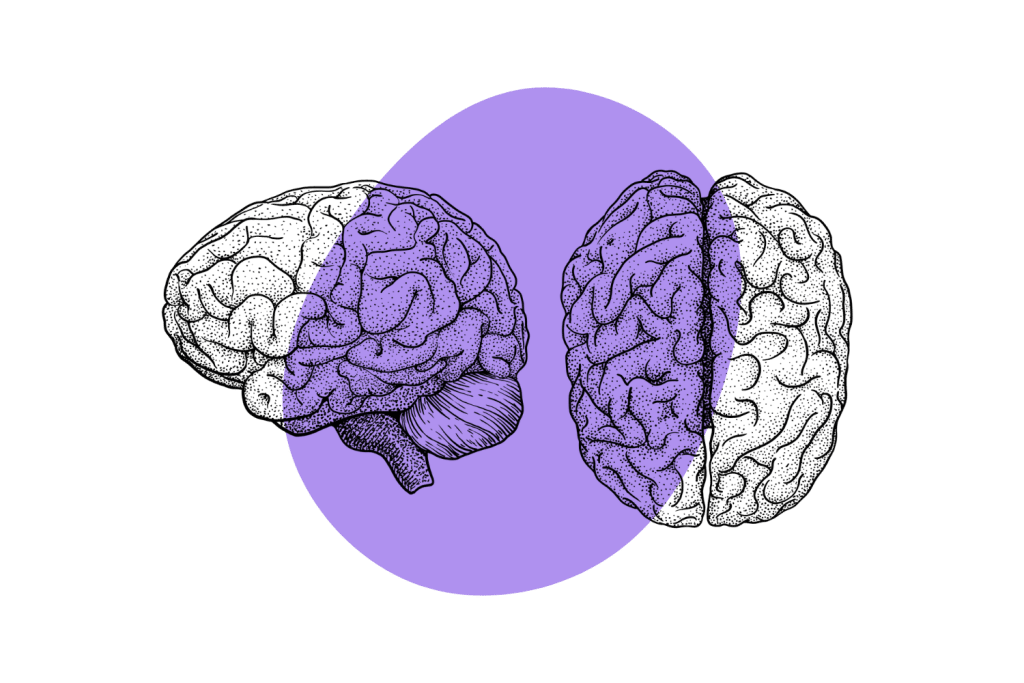 What’s The Default Mode Network? - Tripsitter