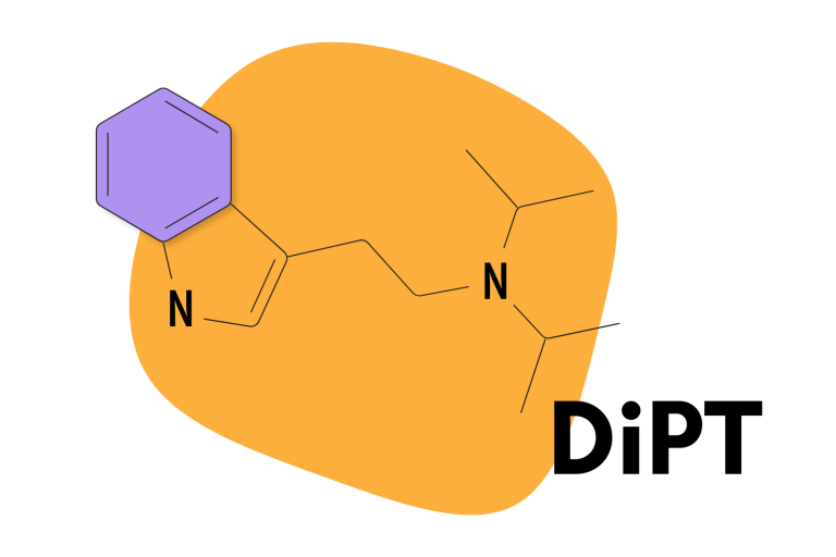 What Is DiPT? The Auditory Psychedelic - Tripsitter