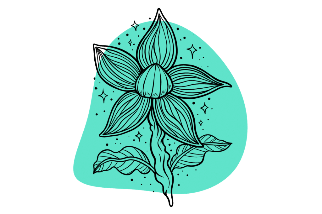 Z-Strain Magic Mushrooms: Potency, Effects, & Growing Tips - Tripsitter