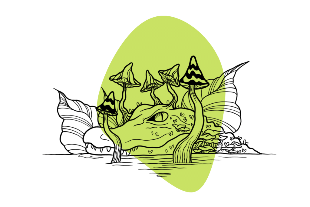 Z-Strain Magic Mushrooms: Potency, Effects, & Growing Tips - Tripsitter