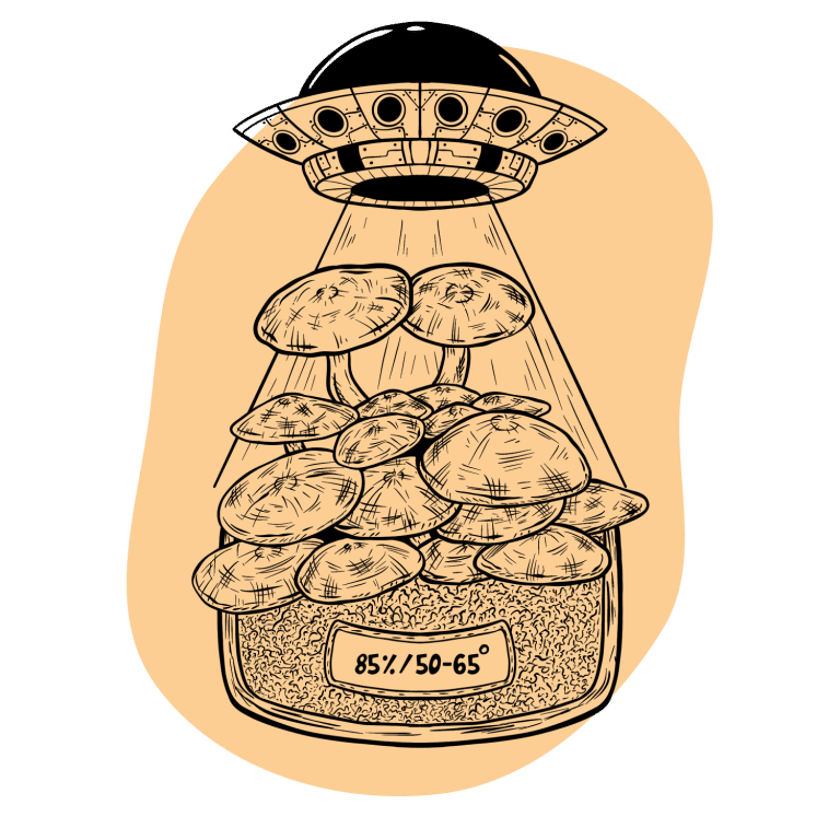 Z-Strain Magic Mushrooms: Potency, Effects, & Growing Tips - Tripsitter