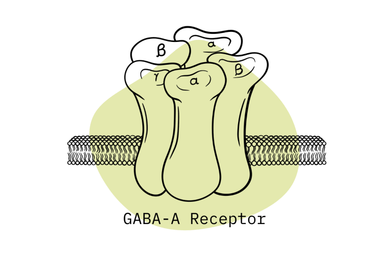 Flunitrazolam Fact Sheet: Dosage, Safety, & Alternative Benzodiazepines ...