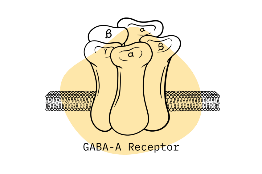 The Legacy of Quaaludes: How a Medication Became a Cultural Phenomenon ...