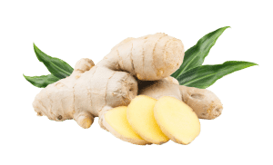 How to Make Shroom Tea: Step-By-Step Guide - Tripsitter