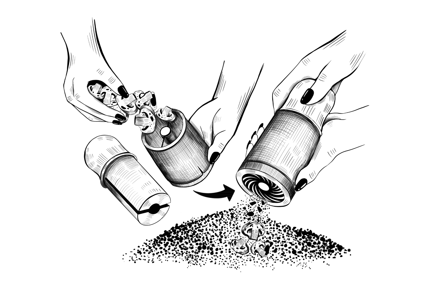 Tips for Grinding Magic Mushrooms - Tripsitter