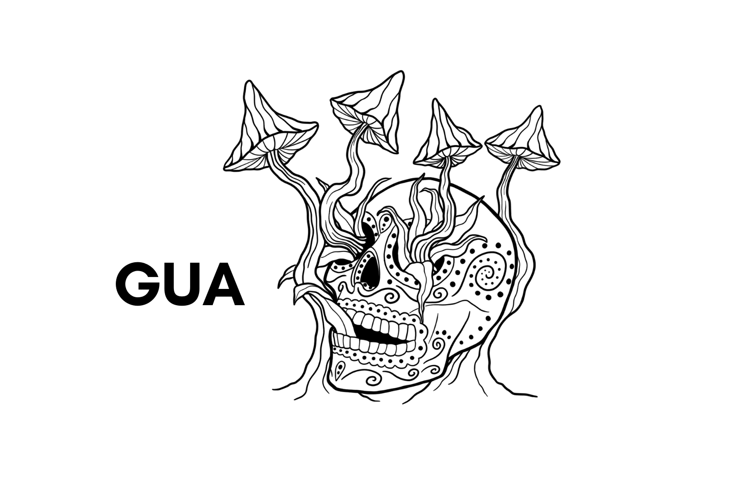 The Xico Strain: An Intriguing Mexican Psilocybe cubensis Variant ...