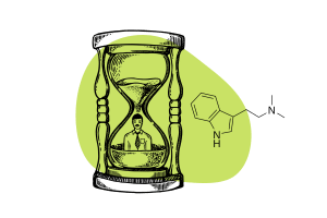 How Long Does DMT Last? - Tripsitter