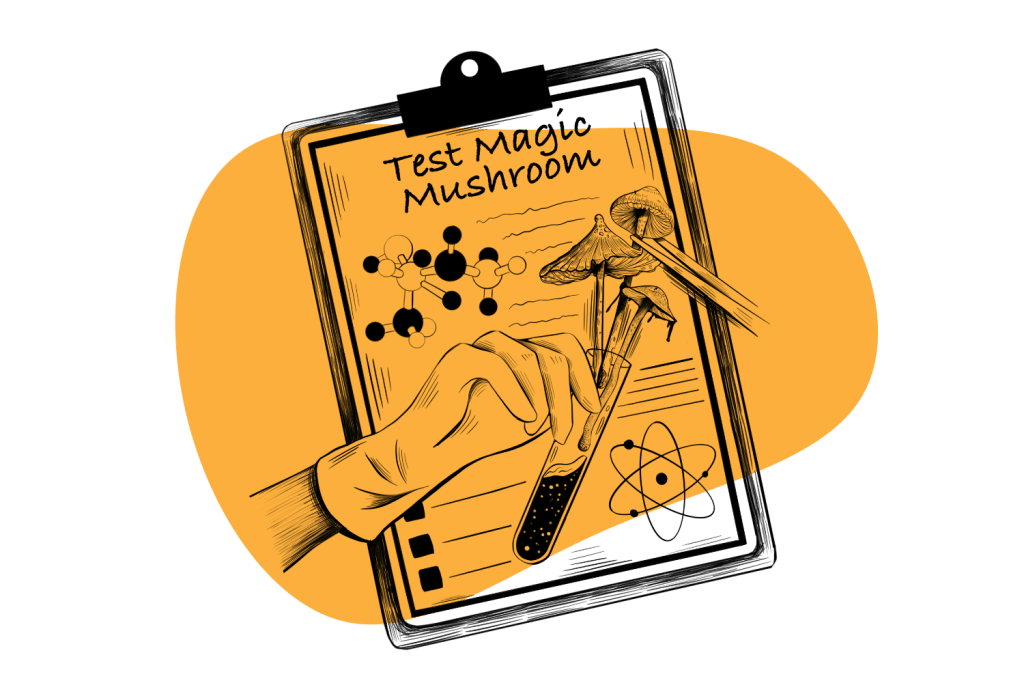 The B+ Strain (Magic Mushrooms) - Tripsitter