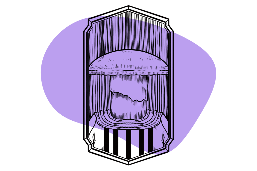 Z-Strain Magic Mushrooms: Potency, Effects, & Growing Tips - Tripsitter