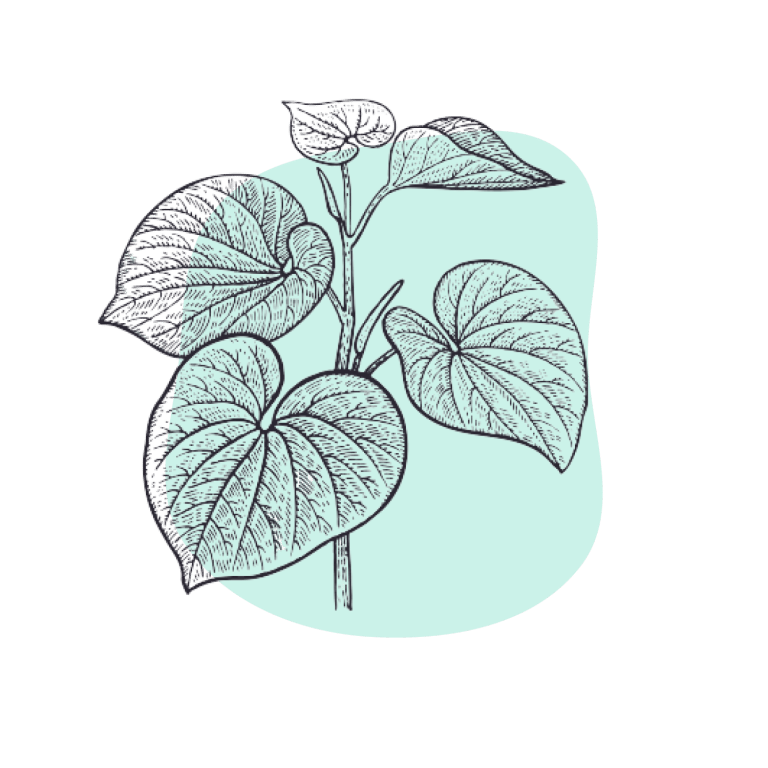 Brotizolam (Lendormin): Uses, Safety, & Harm Reduction Tips - Tripsitter